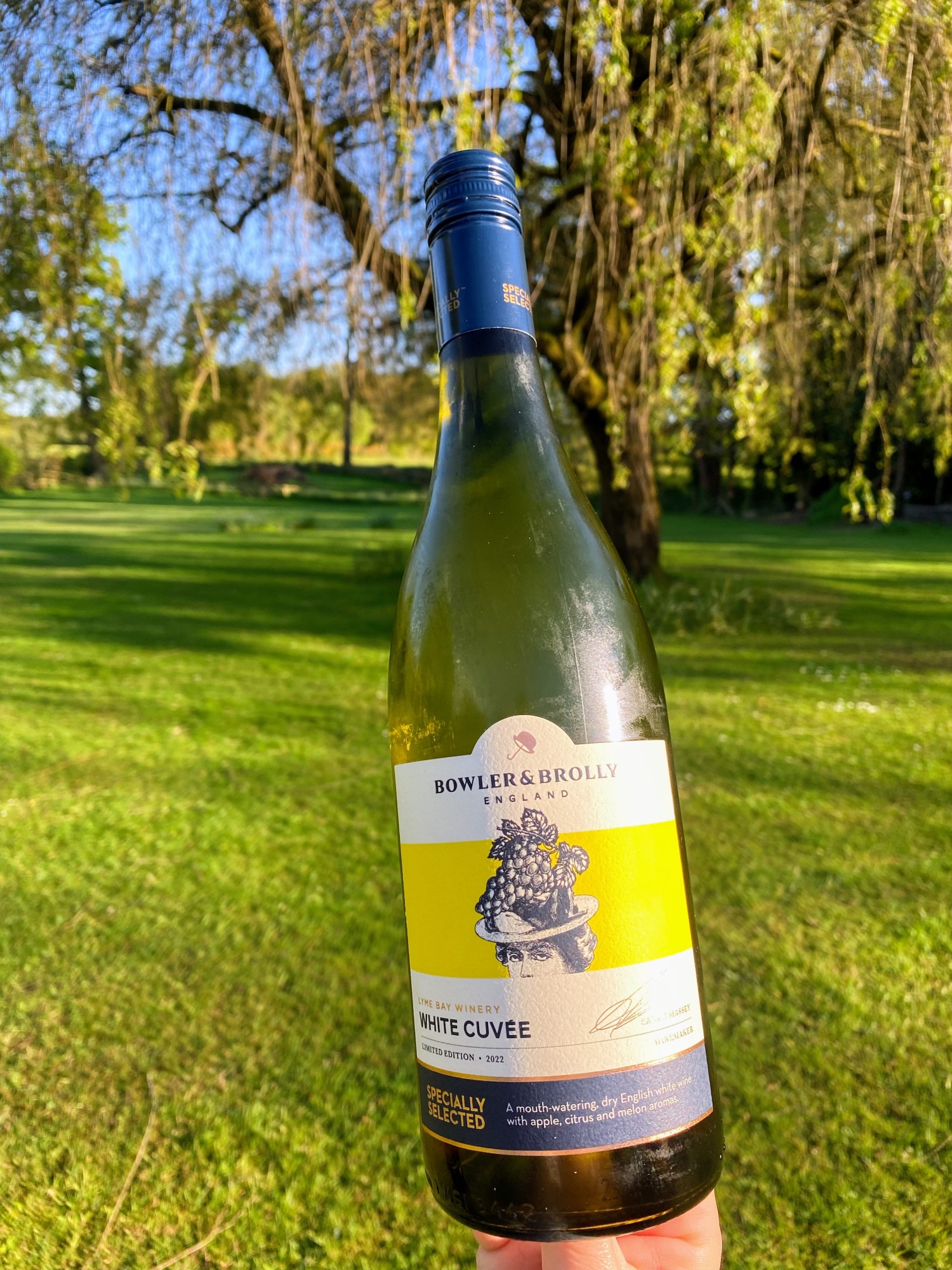 15 inexpensive English wines to try in 2024 – English Wine Guide