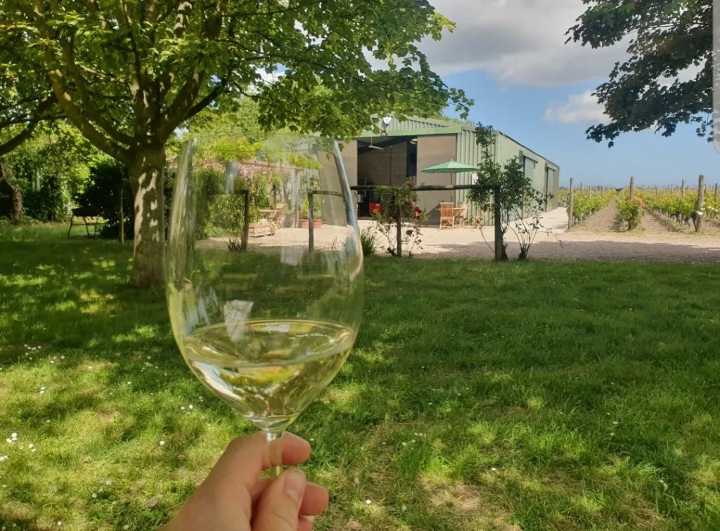 BEST VINEYARDS IN KENT: A DIRECTORY – English Wine Guide