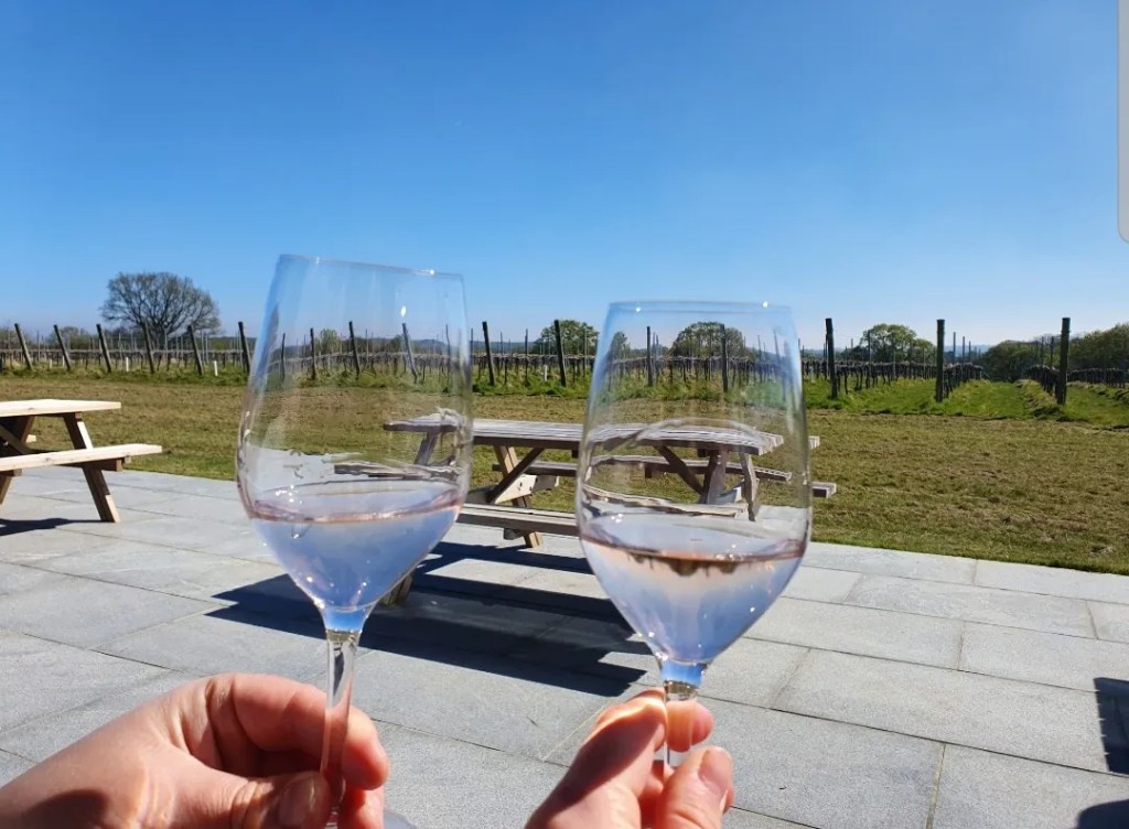 English Wine Guide – A guide to quaffing the best wine that England has ...