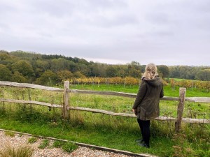 Tillingham Wine Tour: An afternoon to remember – English Wine Guide