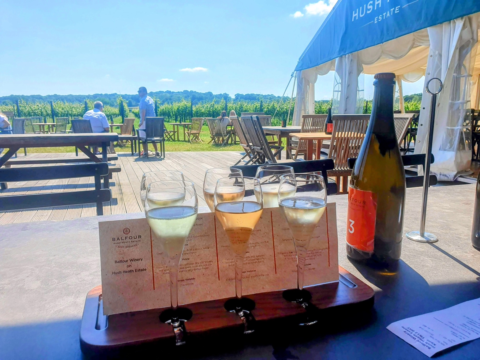 27 vineyards near London accessible by train – English Wine Guide