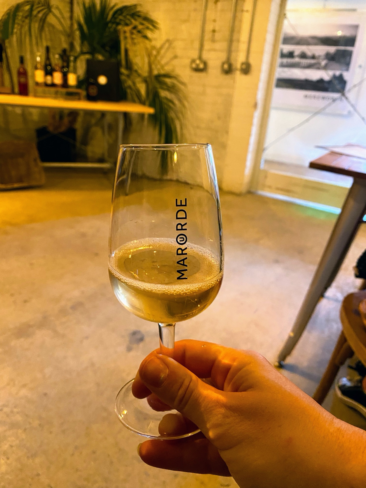 Mereworth Wines Tour: A Sparkling Slice of Kentish Charm – English Wine ...