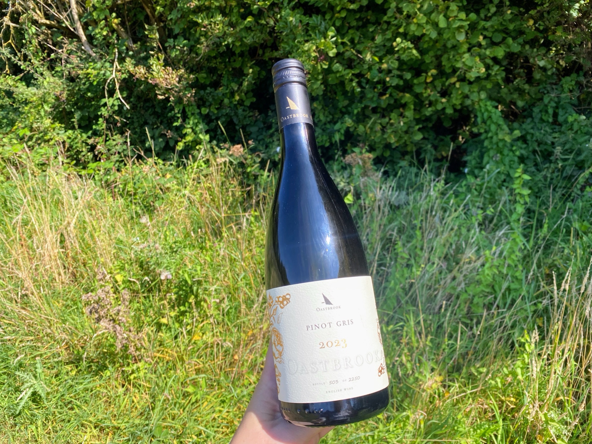 The best English Pinot Gris for all tastes & budgets – English Wine Guide